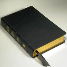 Premier Study Bible-Spectrum Series – Insignia Books