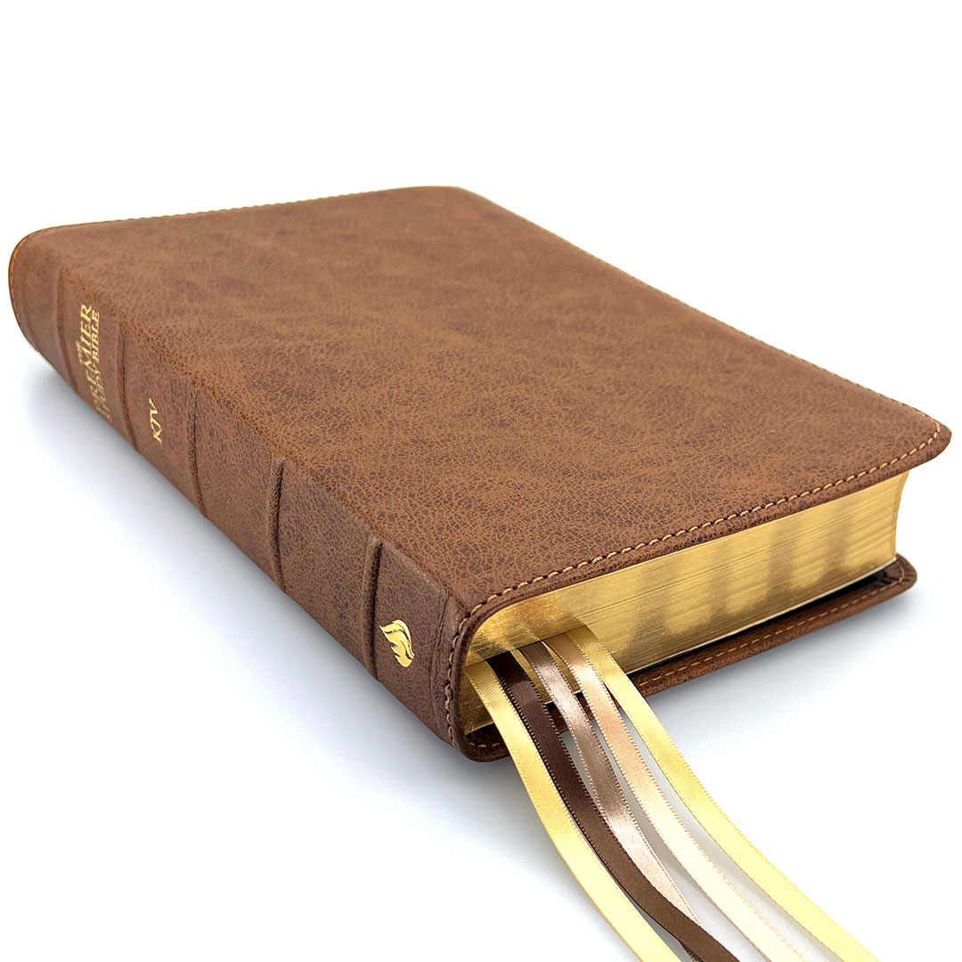 Premier Study Bible-Kine-Antique Brown (Ready to Ship) – Insignia Books